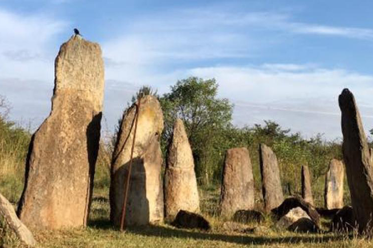 1 Day Tour to Melke Kunture, Adadi Mariam & Tiya Staela - Simien Tour ...